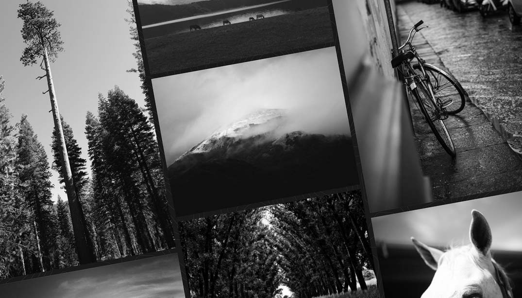 Grid Layouts In WordPress Portfolio Sites: Design Tips & Examples ...